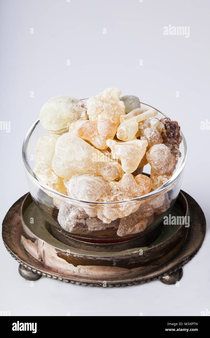 Frankincense burning on a hot coal. Frankincense is an aromatic resin ...
