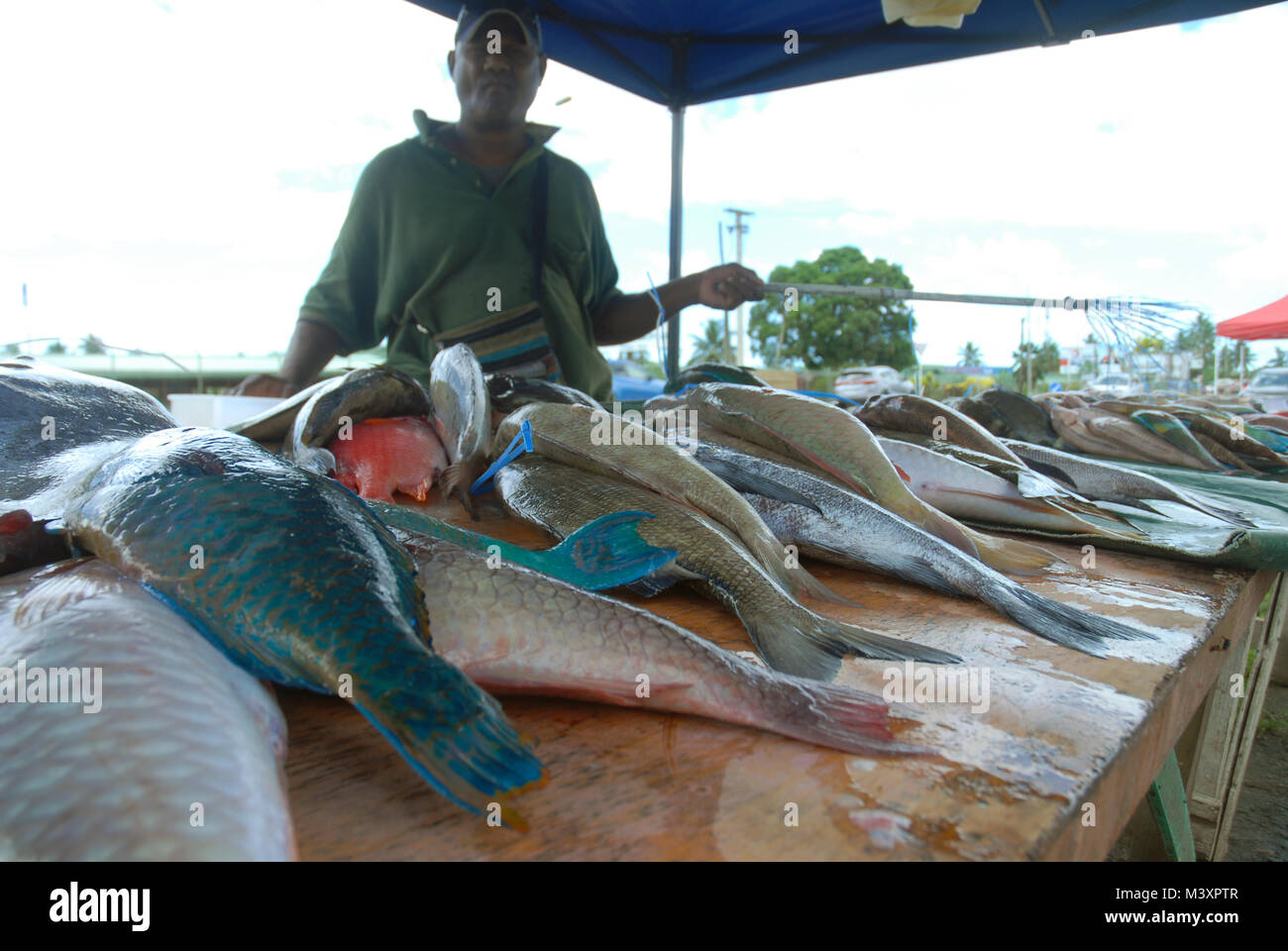 Fish Market, Suva, Fiji Stock Photo - Alamy