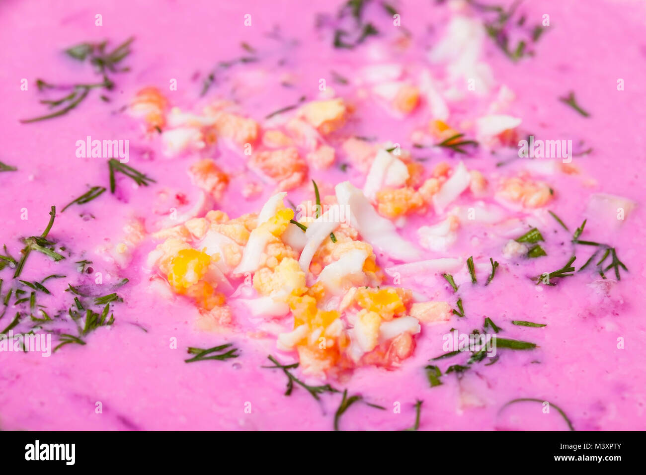 Traditional lithuanian cold beet pink soup, prepared of cucumber ...