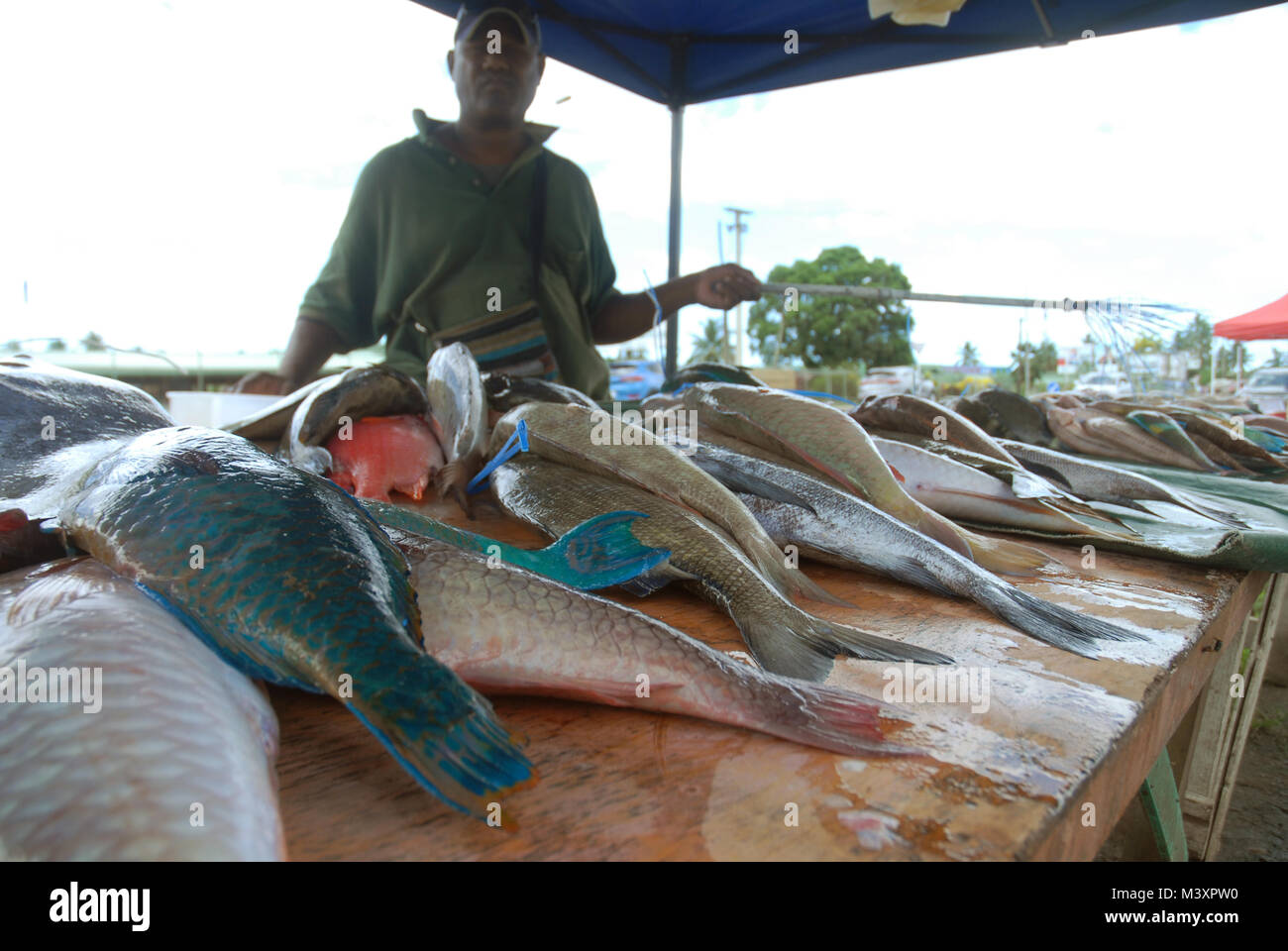 Fiji fish market hi-res stock photography and images - Alamy