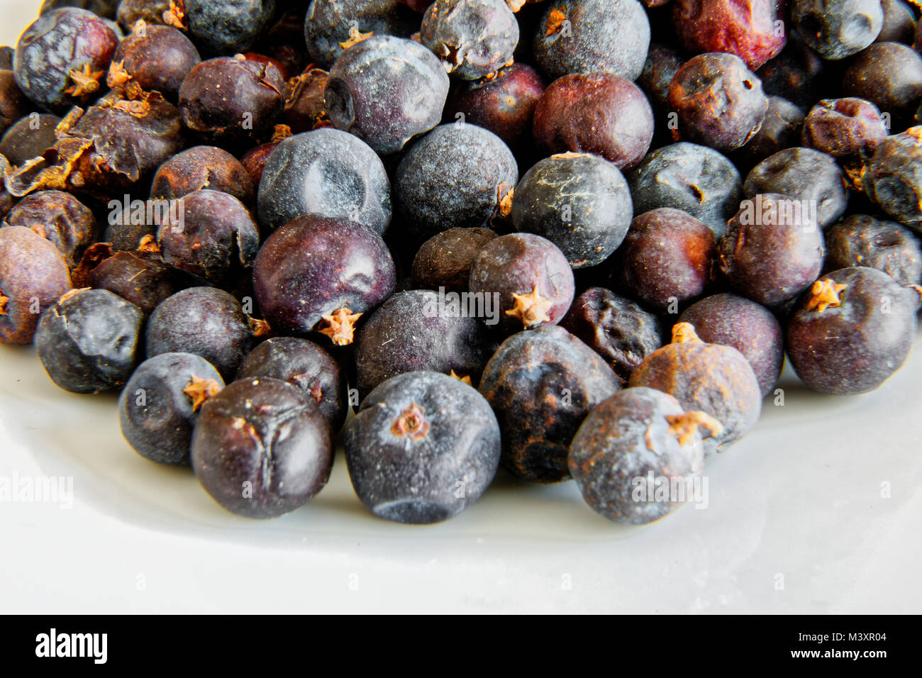 Juniper fruits hi-res stock photography and images - Alamy