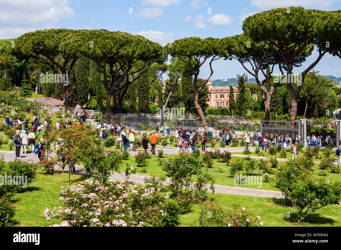 Rome roseto capitale hi-res stock photography and images - Alamy