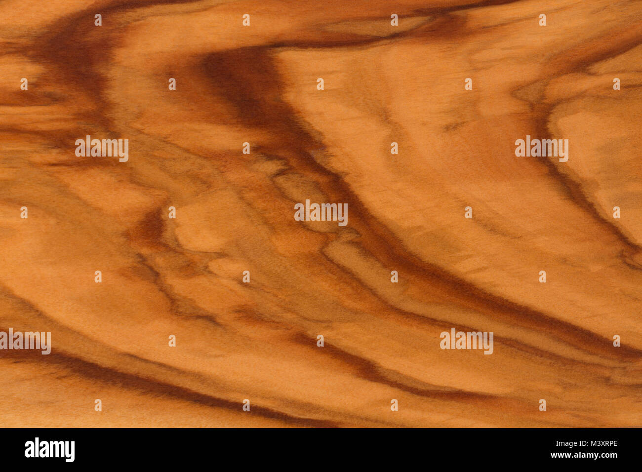 Olive tree wood slice with texture and details Stock Photo - Alamy