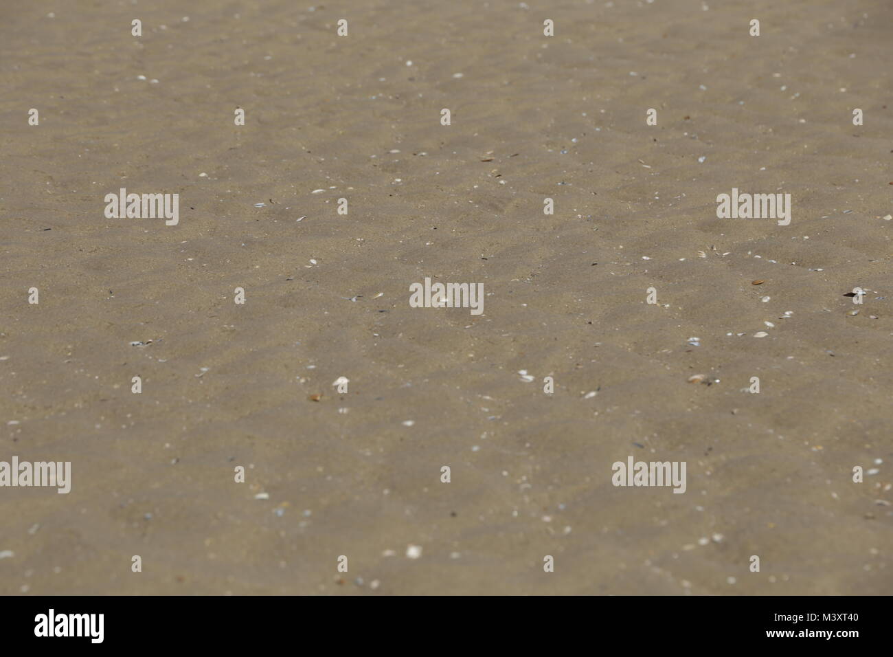 Patterns in the sand, made by the sea Stock Photo - Alamy