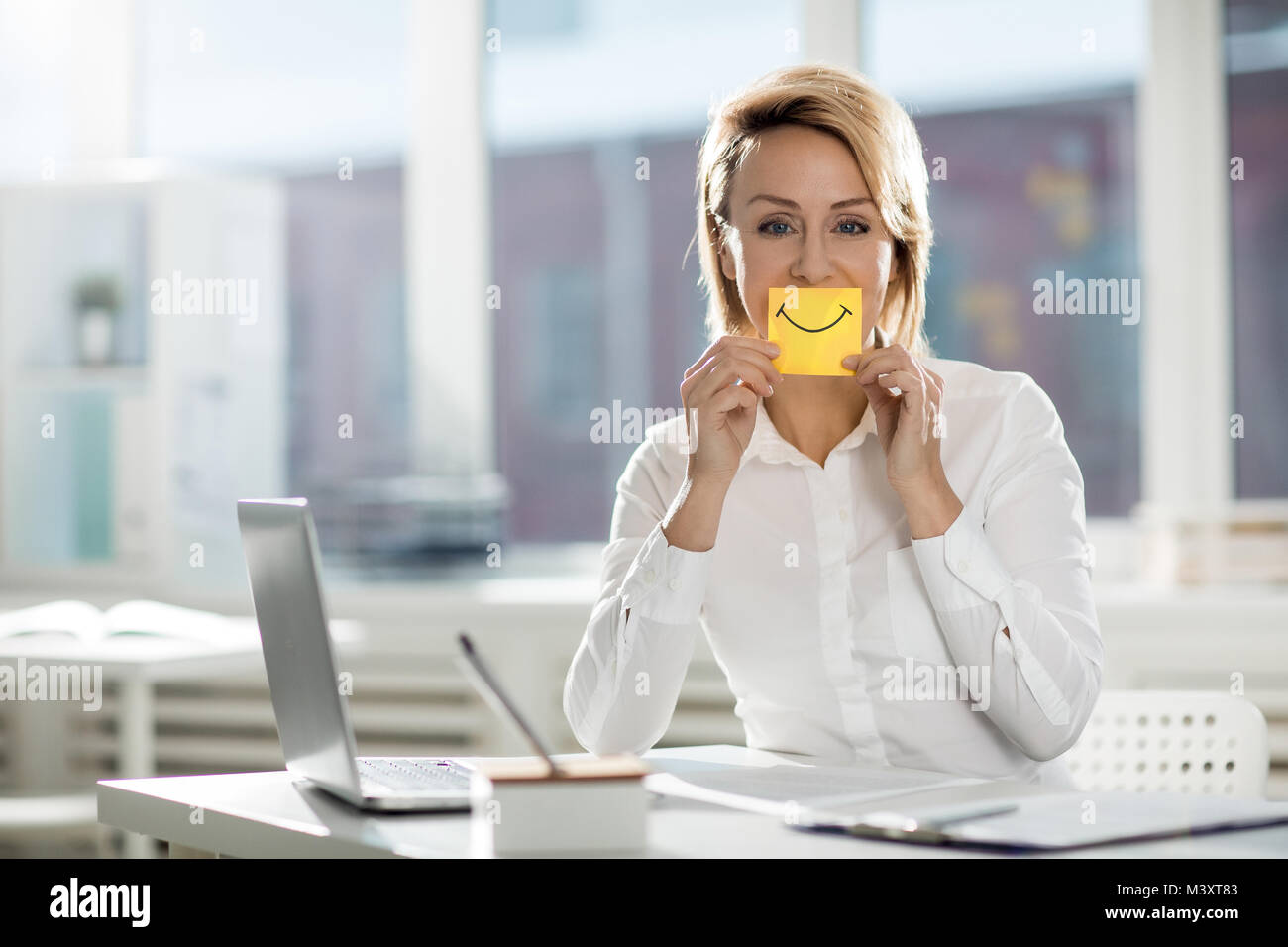 Smiling corporate executive showing hi-res stock photography and images ...
