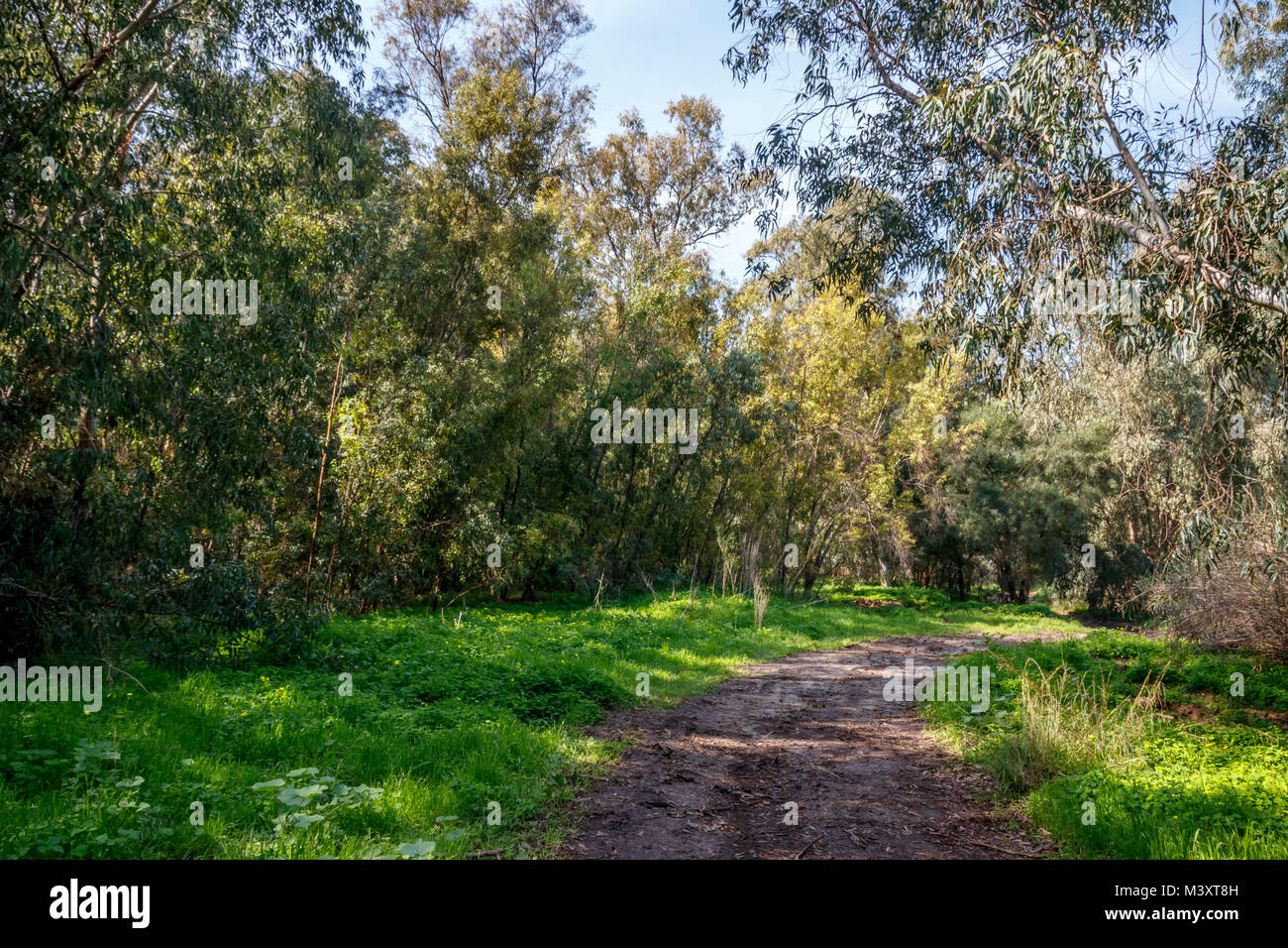 Clay road hi-res stock photography and images - Alamy