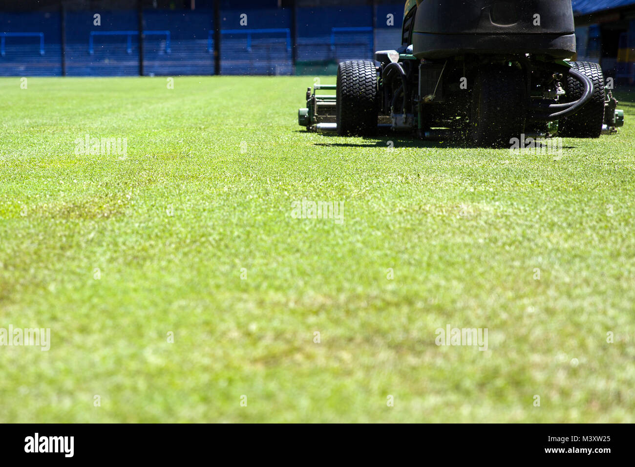 View at lawnmower cutting grass on the football stadium Stock Photo - Alamy