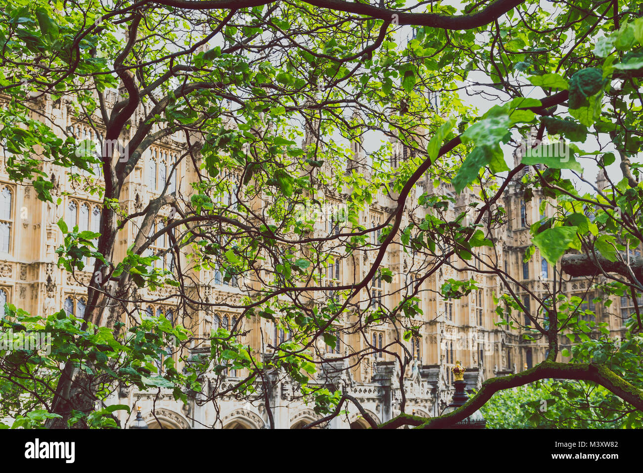 Big ben behind trees hi-res stock photography and images - Alamy