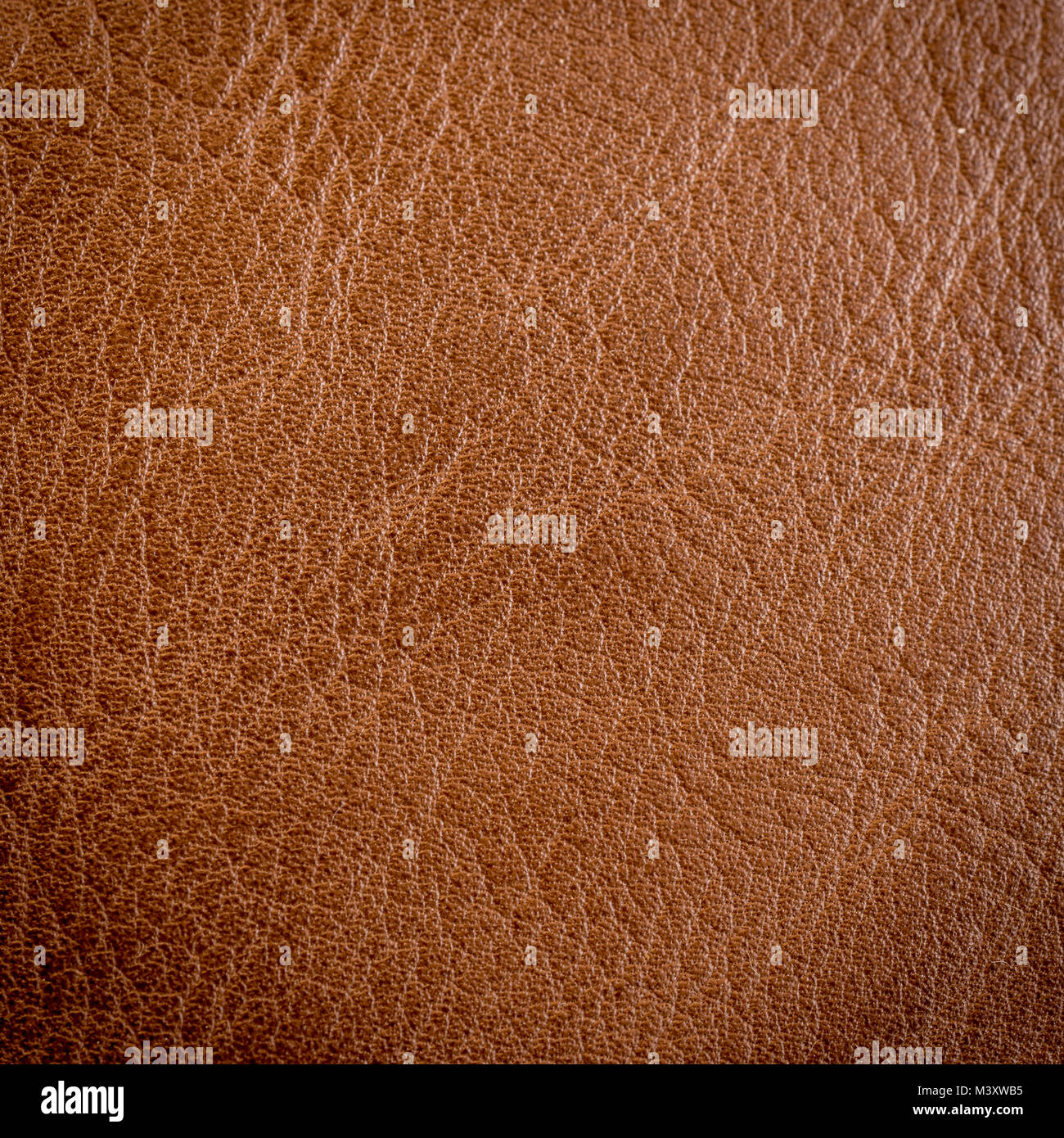 Close up brown leather texture and background Stock Photo - Alamy
