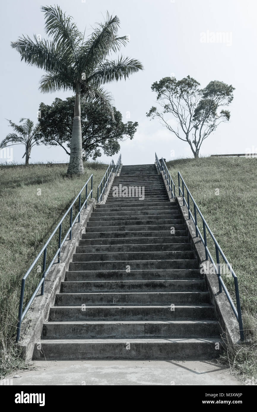 Steps hillside hi-res stock photography and images - Alamy