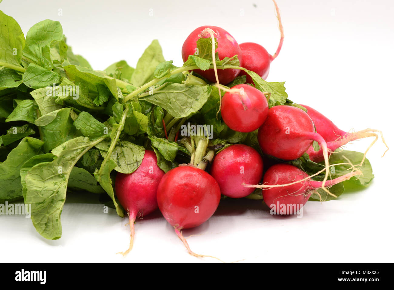 Tasty red radishes with green stems arranged on a seamless white ...