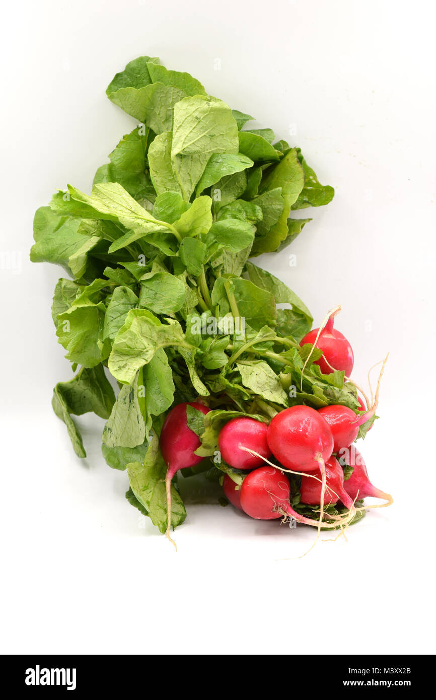 Tasty red radishes with green stems arranged on a seamless white ...