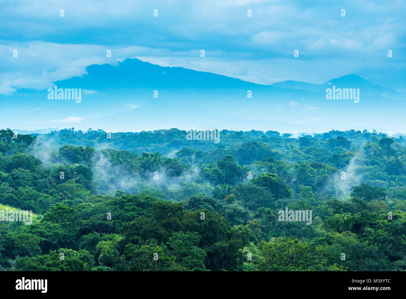 Jungle landscape scenic with mountains on the horizon in Chiapas ...