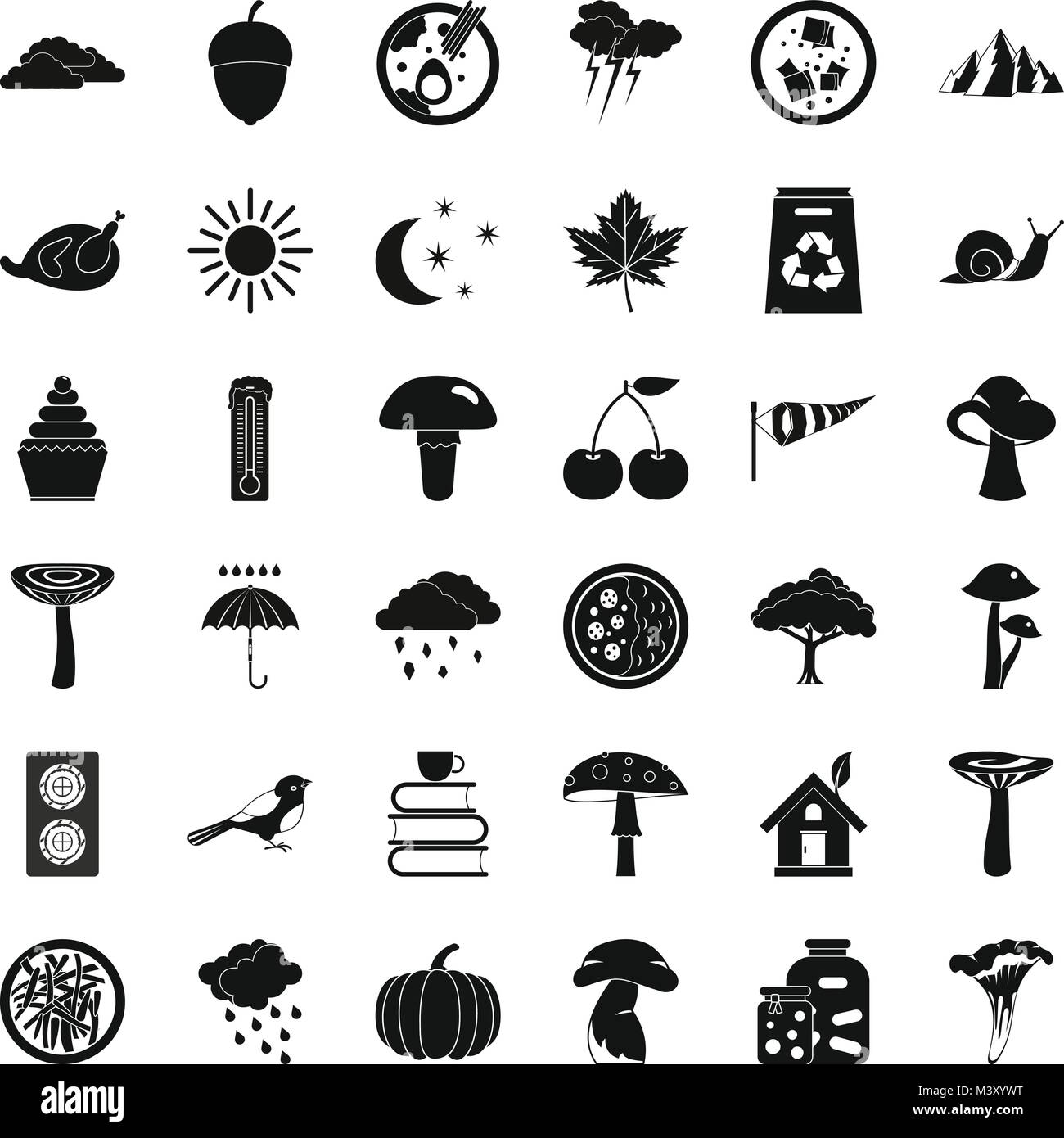 Woodland walk view Stock Vector Images - Alamy