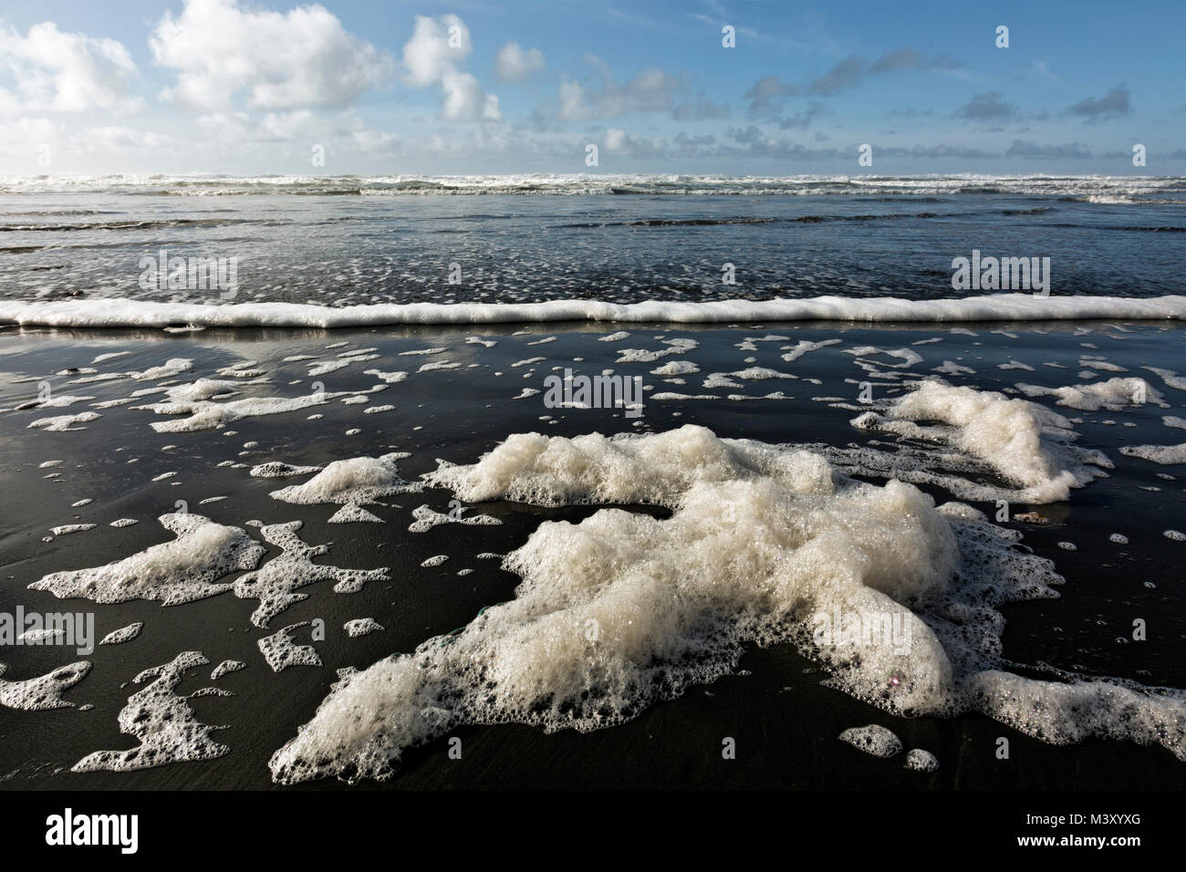 Surfing Washington Olympic National Park
