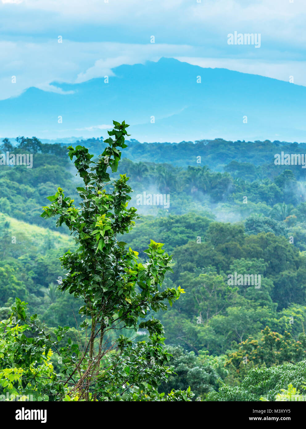 Chiapas Landscape