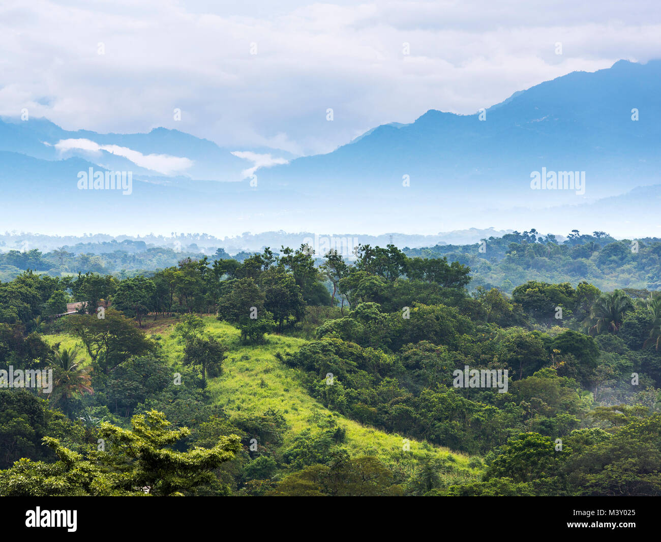Mexican jungle hi-res stock photography and images - Alamy