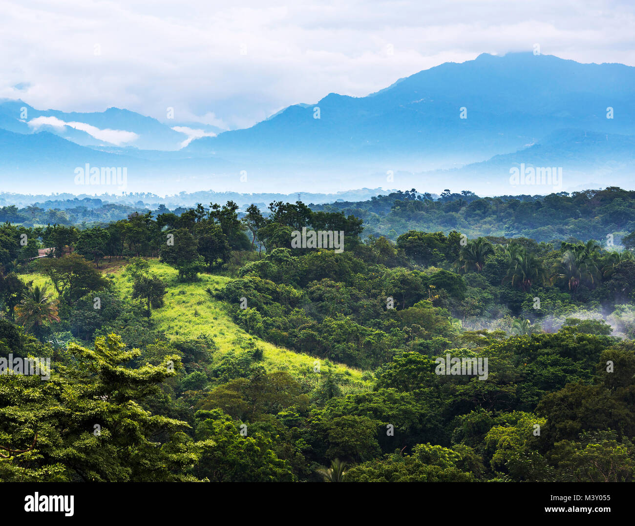 Jungle landscape scenic with mountains on the horizon in Chiapas ...