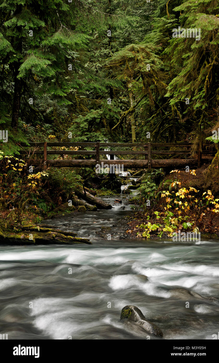 Barnes creek trail hi-res stock photography and images - Alamy