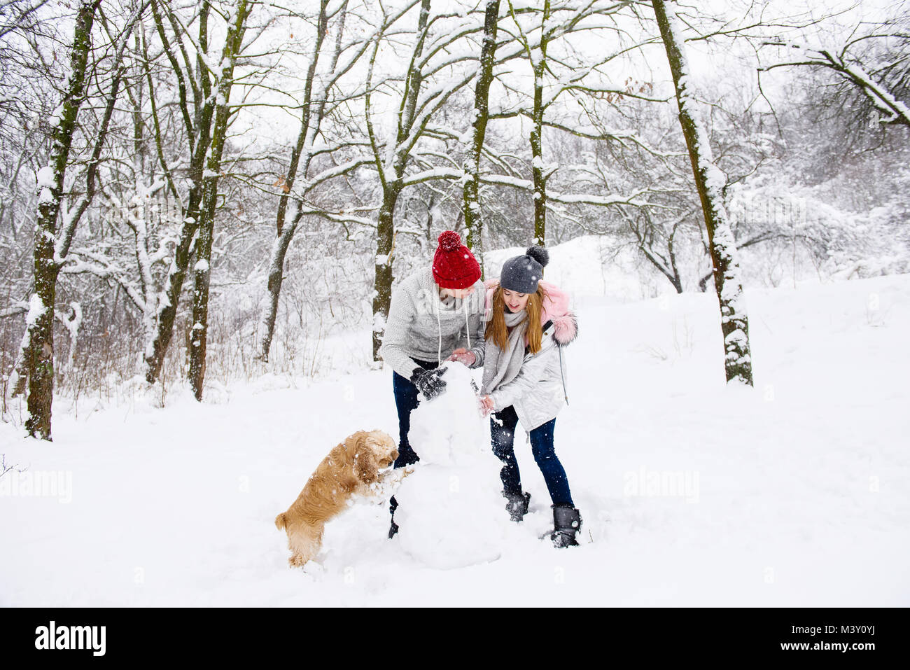 Child and cocker spaniel hi-res stock photography and images - Alamy