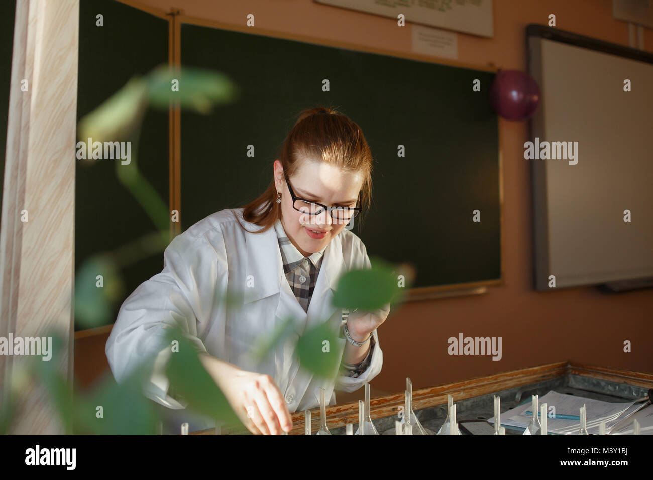 Seed germination test hi-res stock photography and images - Alamy