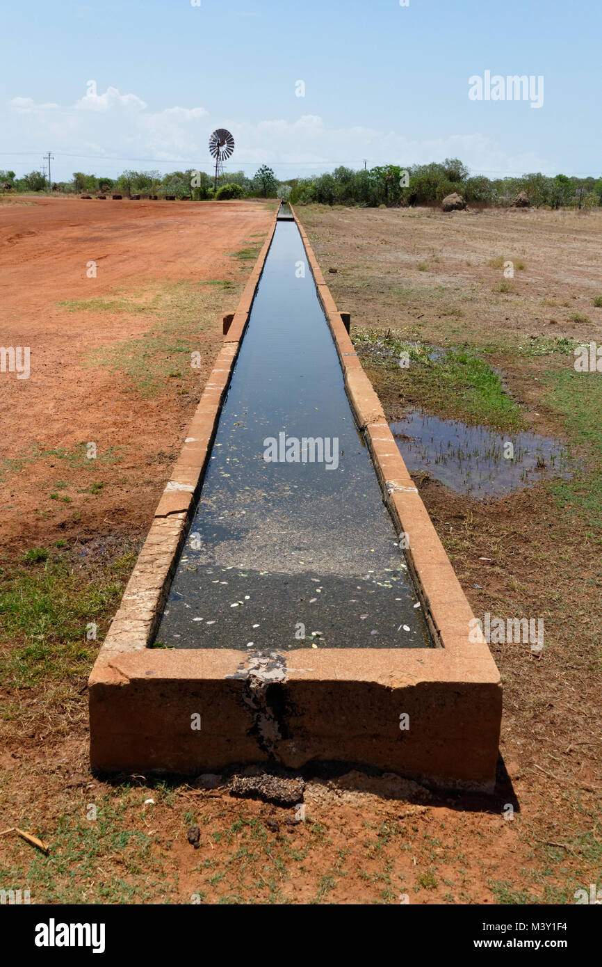 Large water trough with windmill, Derby, West Kimberley, Western ...