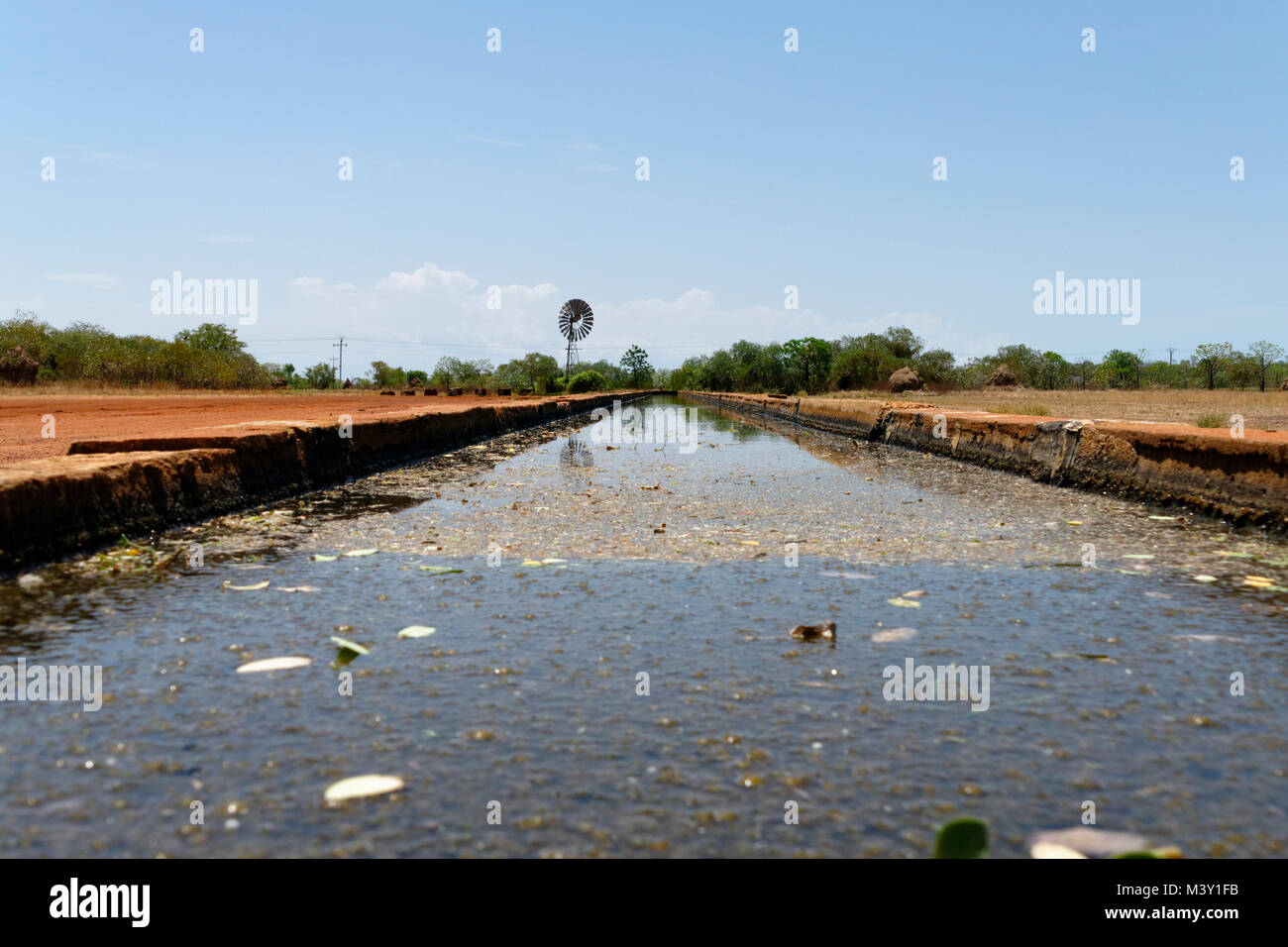 Large water trough with windmill, Derby, West Kimberley, Western ...