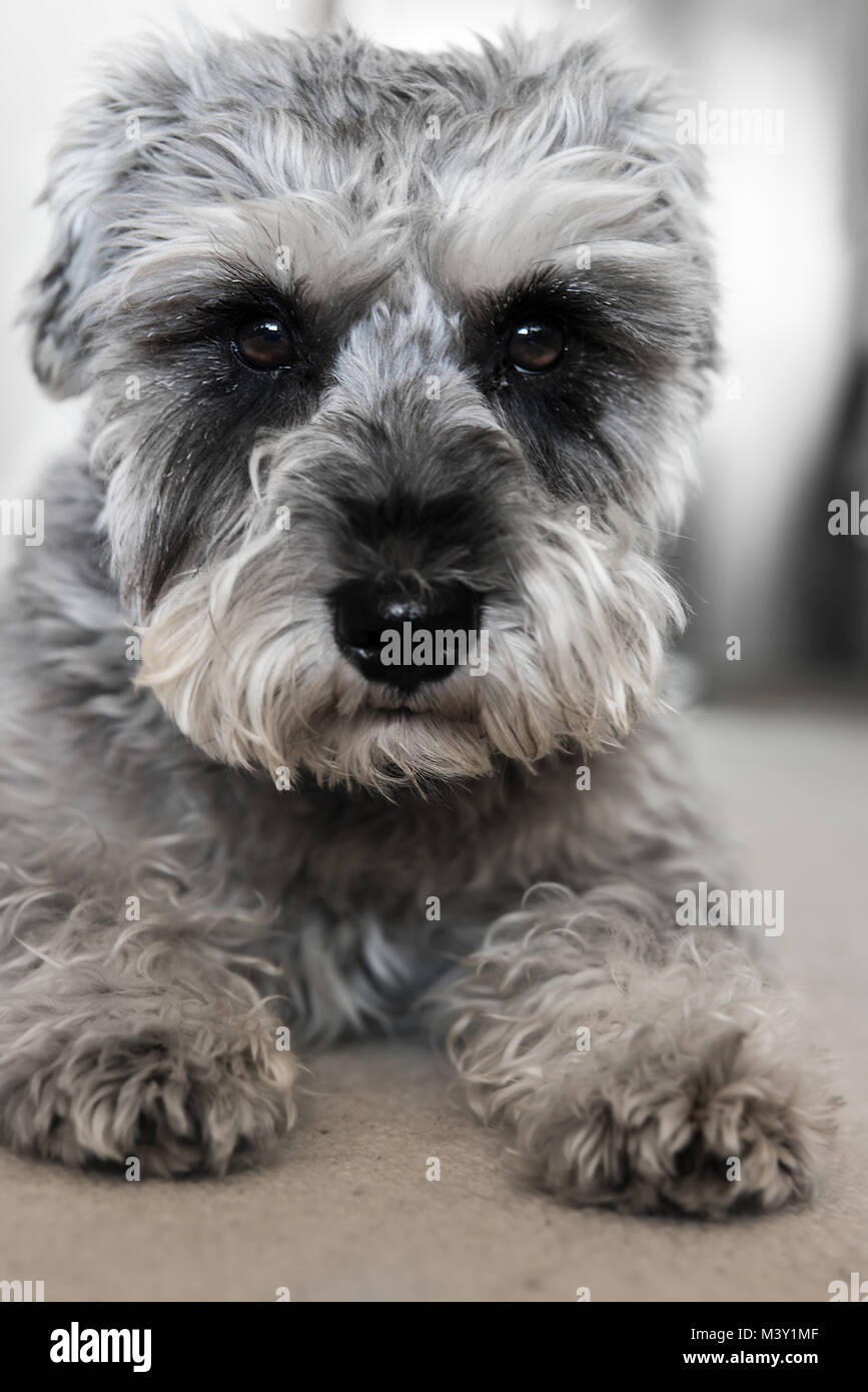 Onthefloor hi-res stock photography and images - Alamy