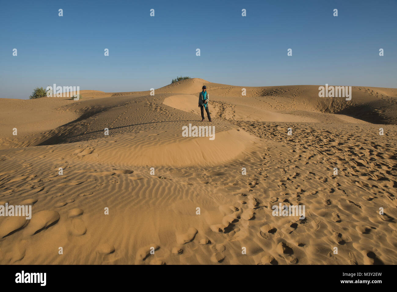 Sand dunes in the Thar Desert, Rajasthan, India Stock Photo - Alamy