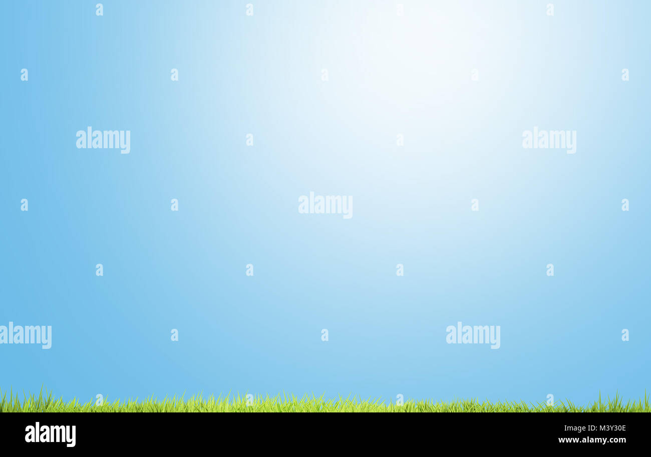 light blue sunshine sky with blades of grass green meadow 3d rendering ...
