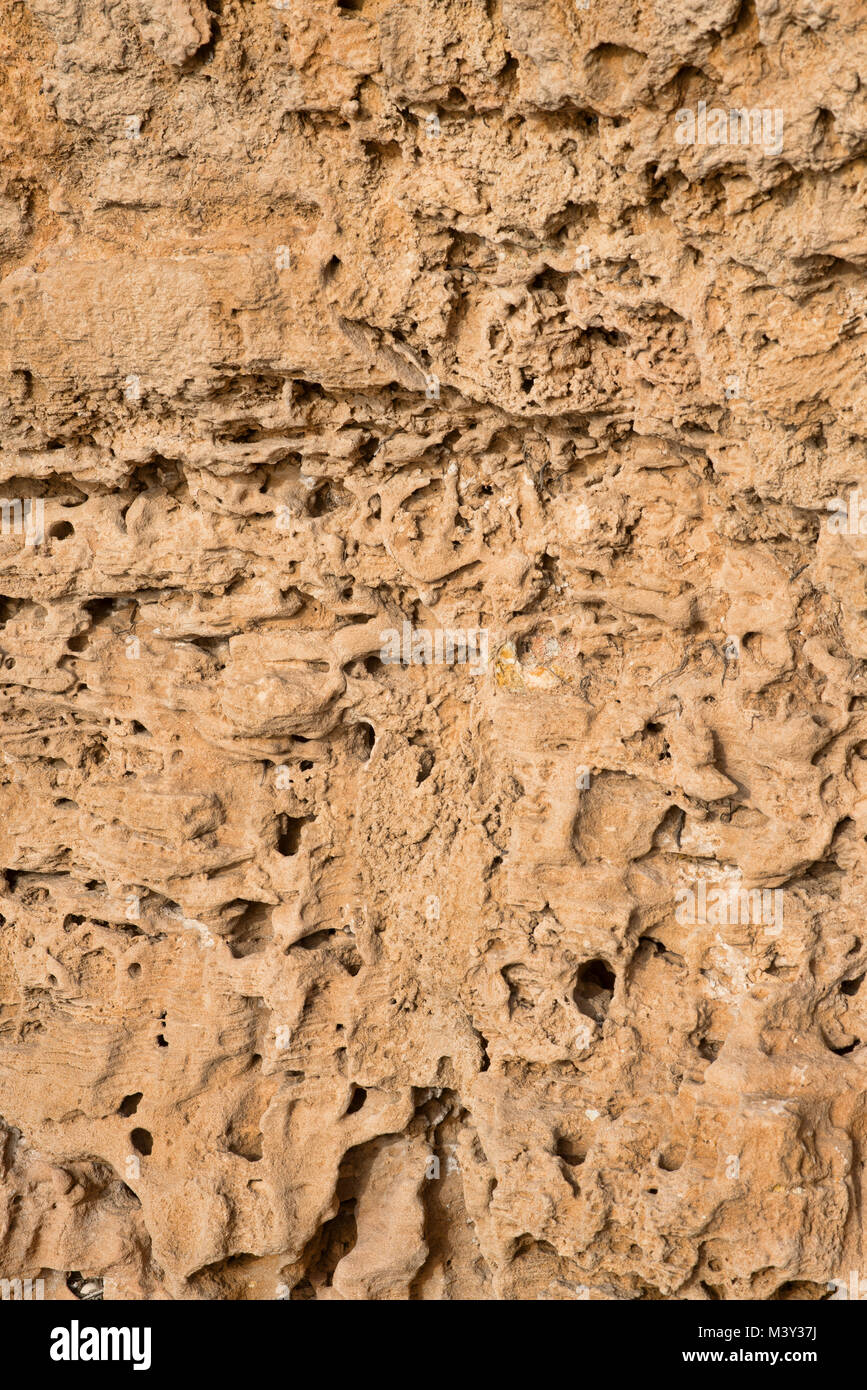 Heavily eroded limestone rock background Stock Photo - Alamy