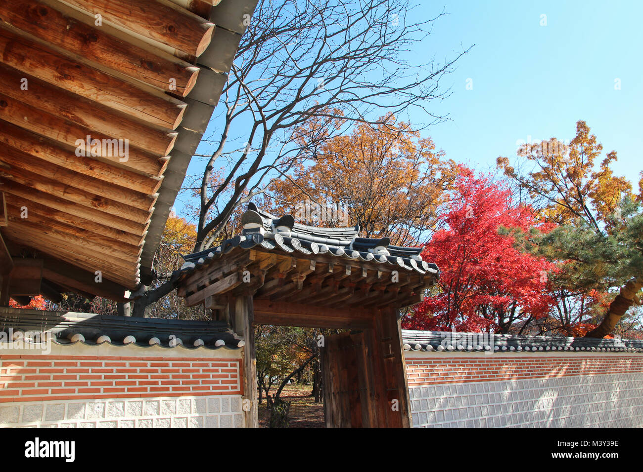 The korean traditional door (entrance) with the colourful leaves in ...