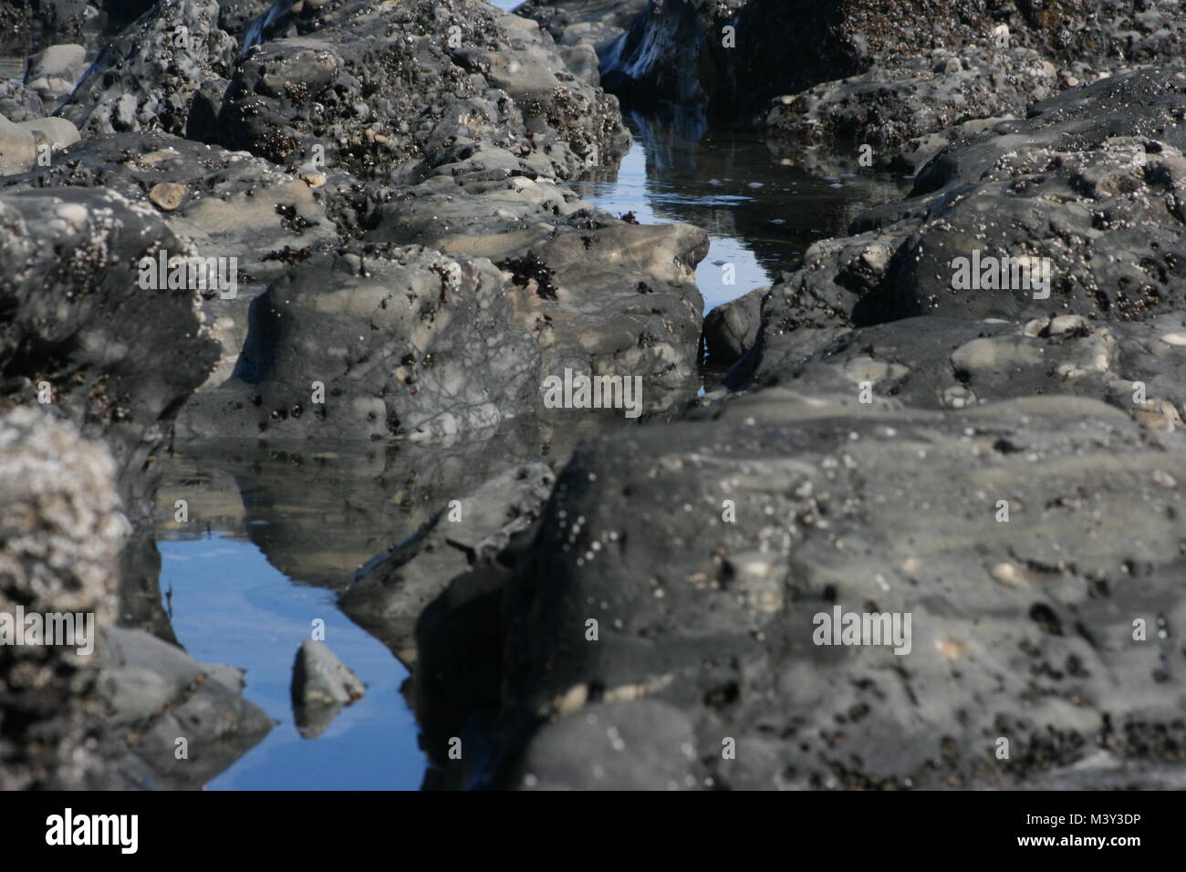 water sky tide pool rocks Stock Photo - Alamy
