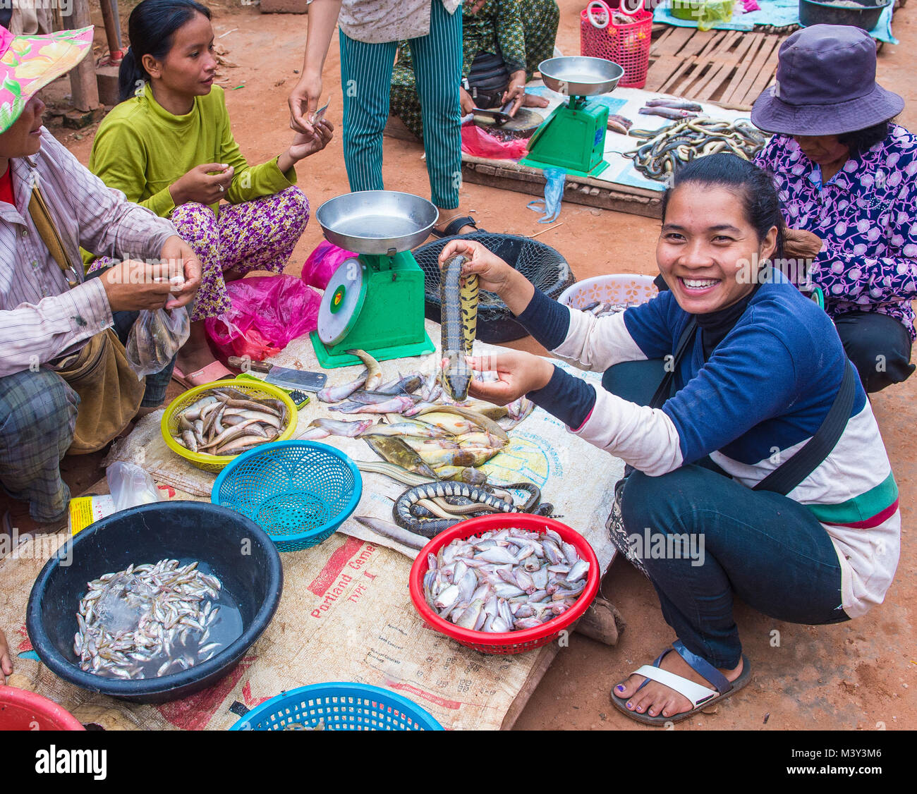 Cambodian woman selling snakes in a market in Siem Reap Cambodia Stock ...