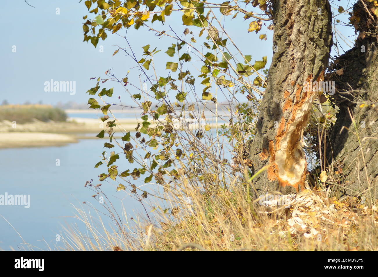 Curren water current hi-res stock photography and images - Alamy