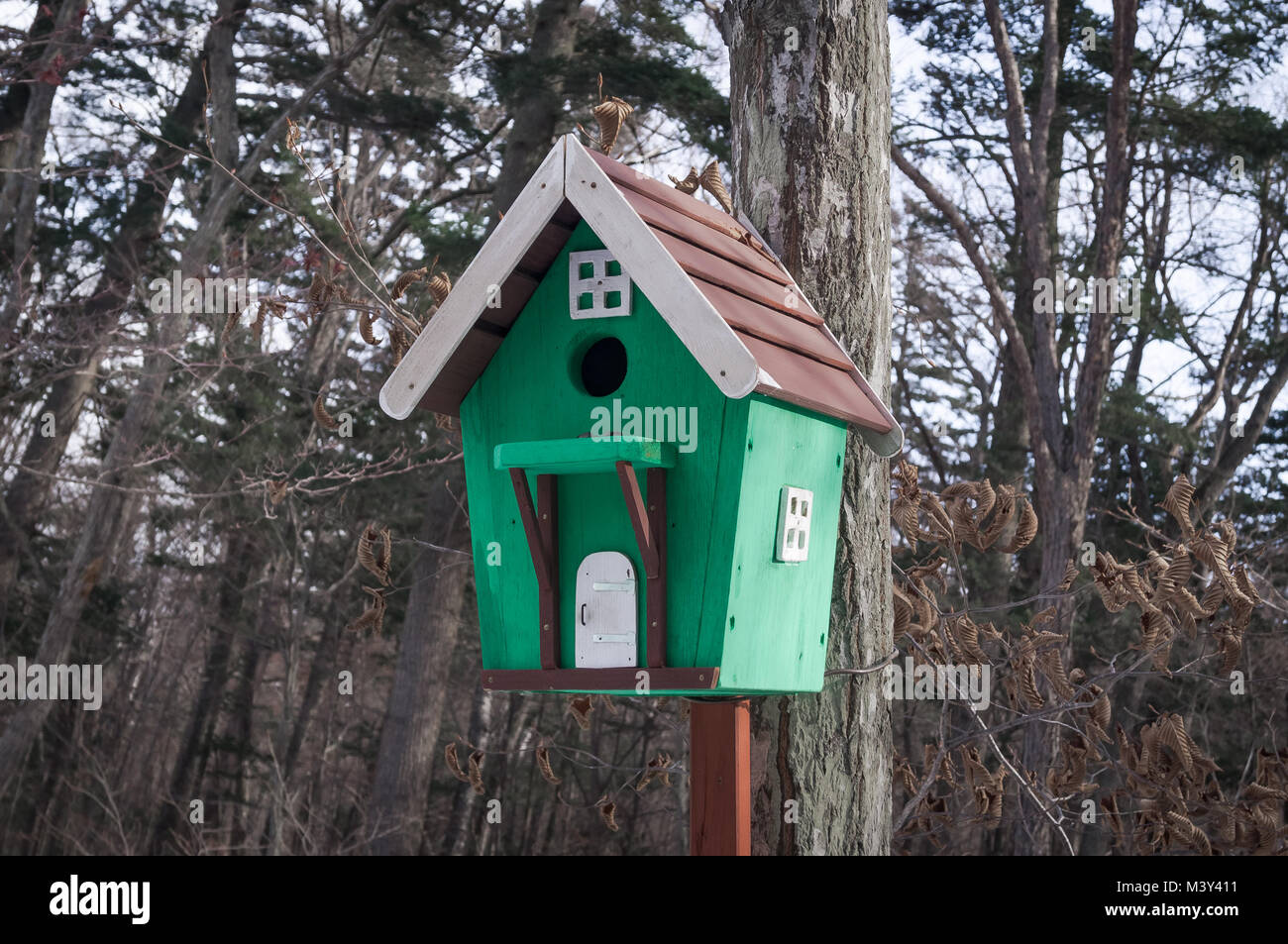Birdhouse love hi-res stock photography and images - Alamy