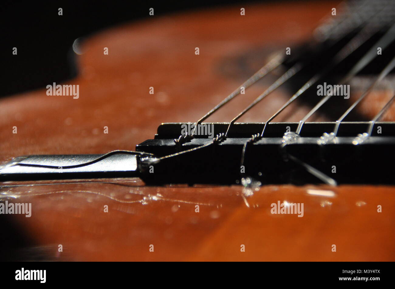 Classical guitar. Issuing a stringed instrument sounds. Fretboard ...
