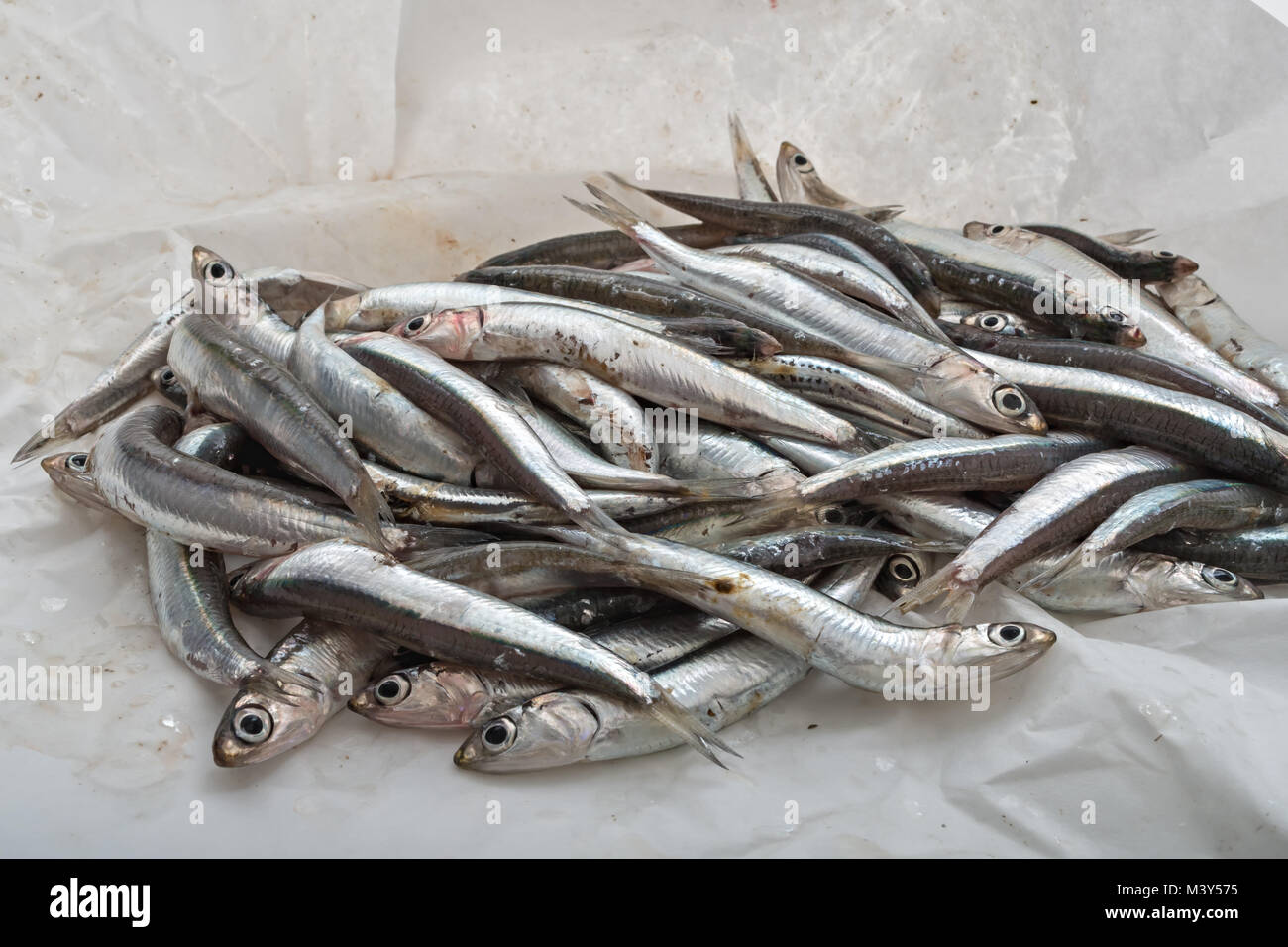 fresh anchovies from above Stock Photo - Alamy