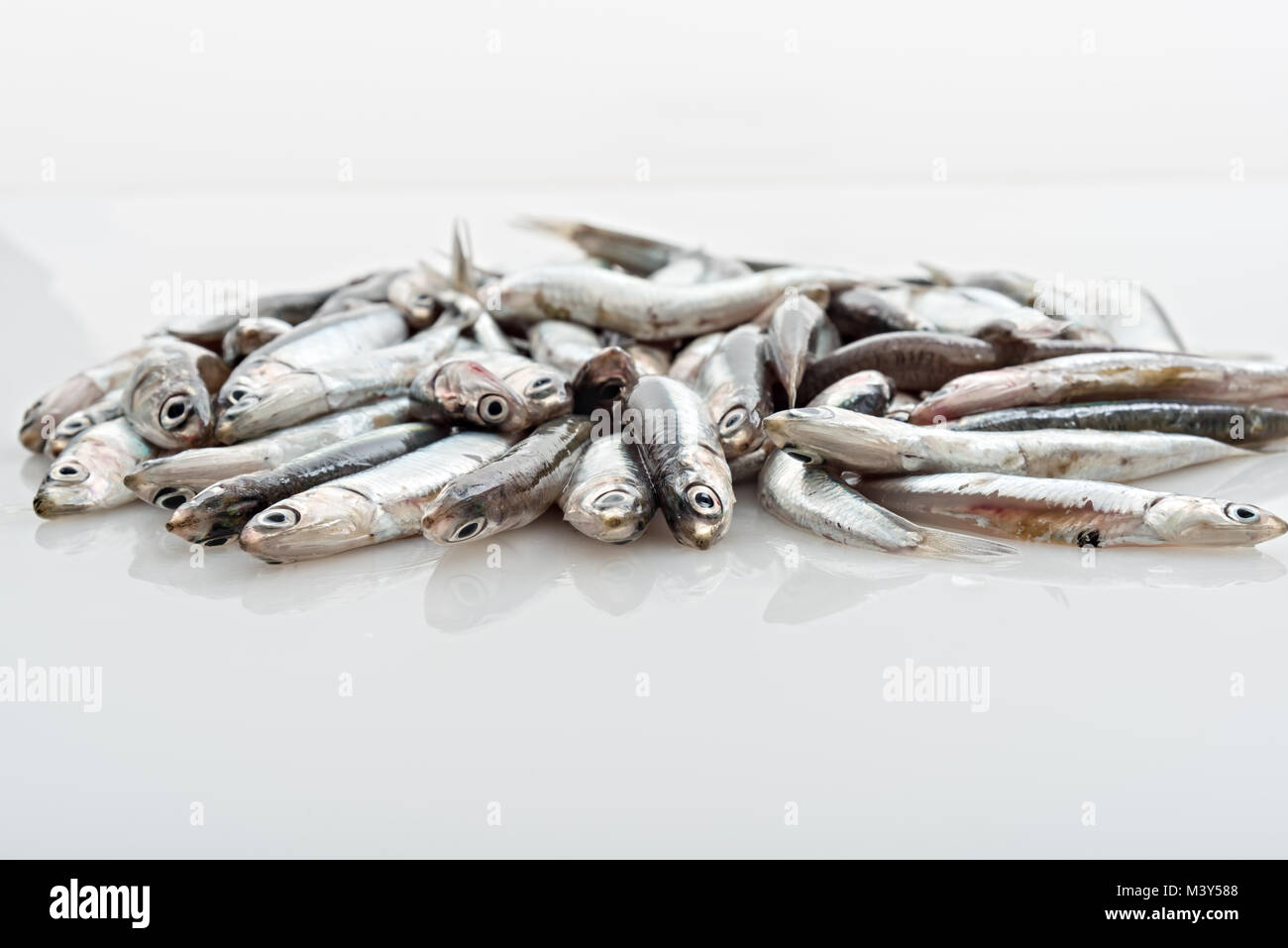 fresh anchovies in front 3 Stock Photo - Alamy