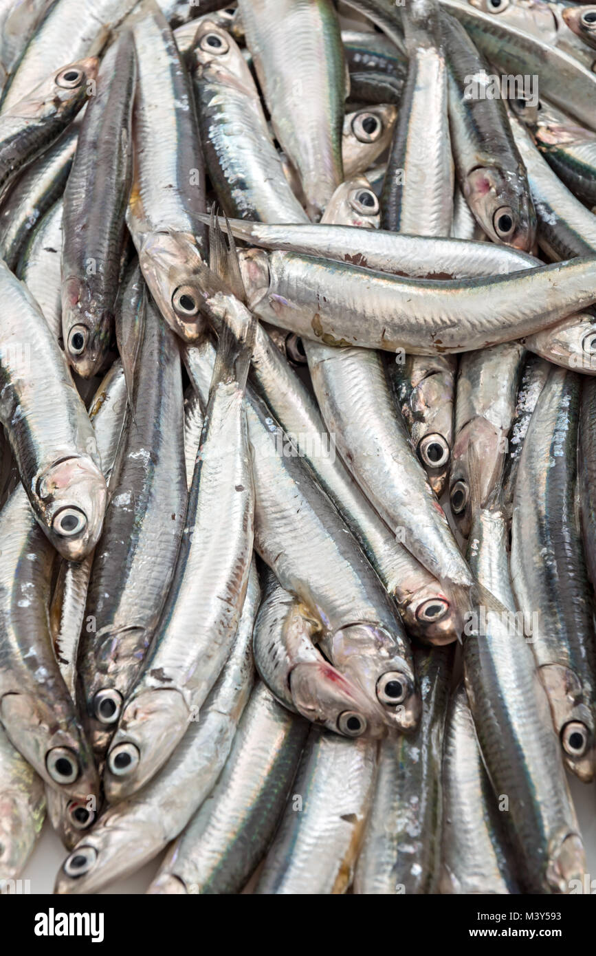fresh anchovies from above 7 Stock Photo - Alamy
