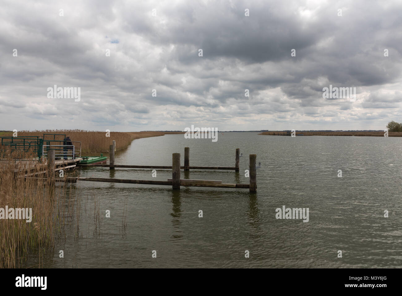 Bodden landscape near Zingst Stock Photo - Alamy