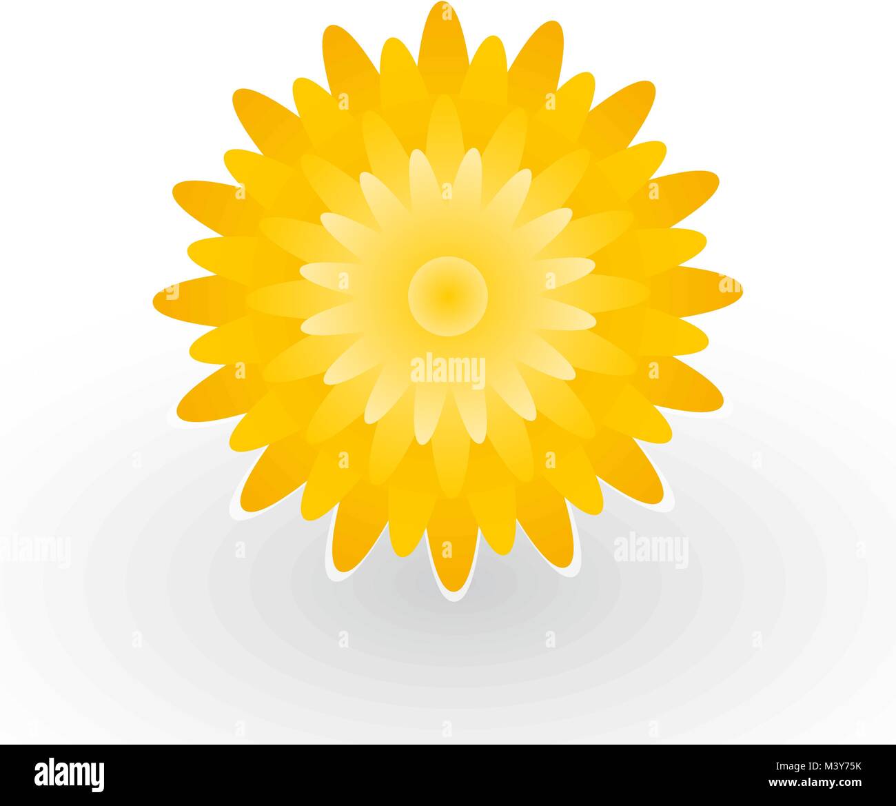 Single plant wild yellow Stock Vector Images - Alamy