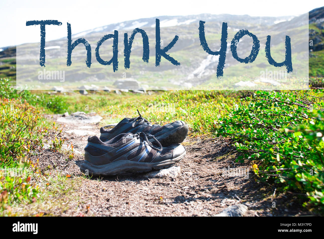English Text Thank You. Trekking Shoes On Hiking Path In Norway ...