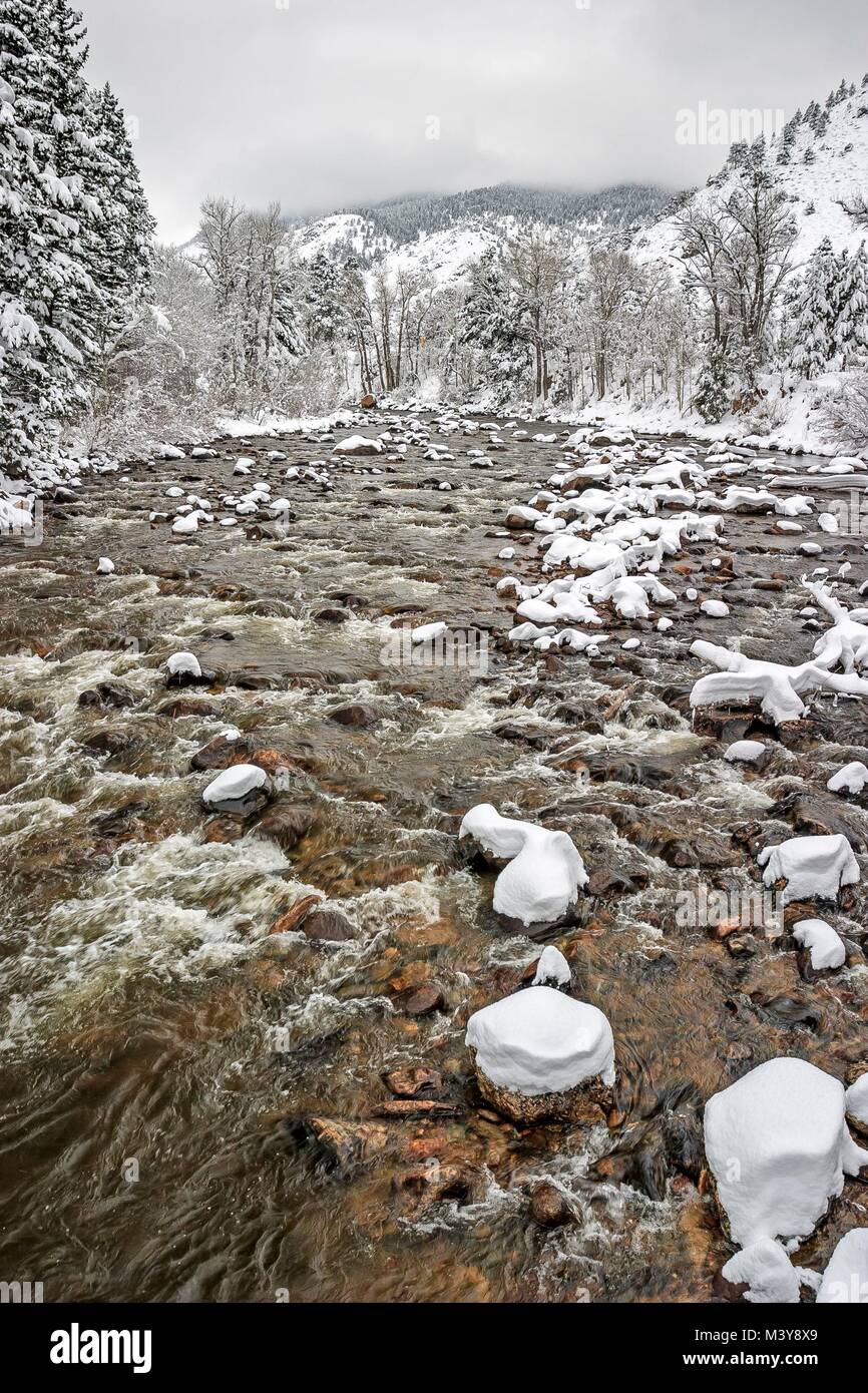United States, Colorado, Rocky Mountains, Front Range, Roosevelt ...