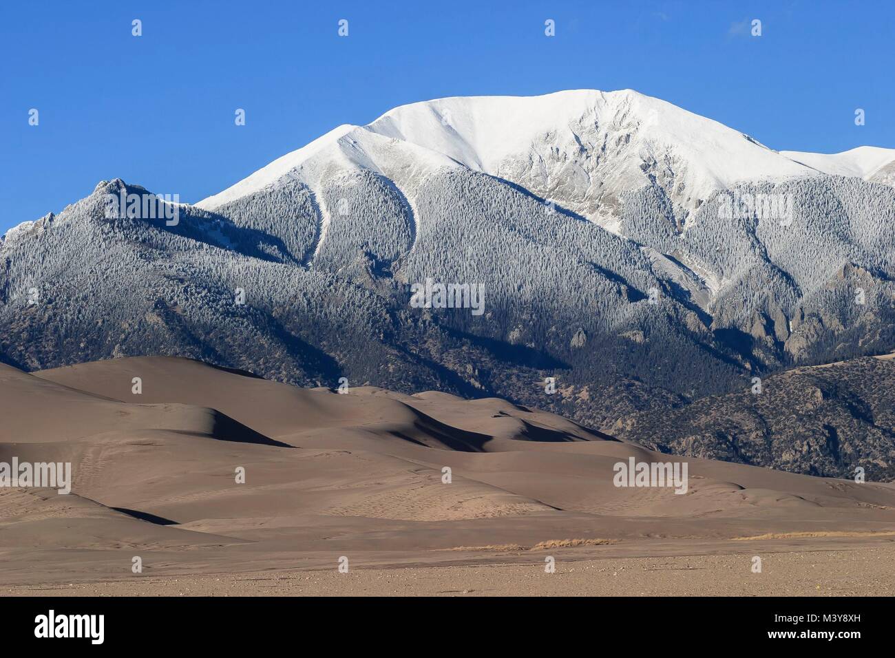 United States, Colorado, Rocky Mountains, Great Sand Dunes National ...