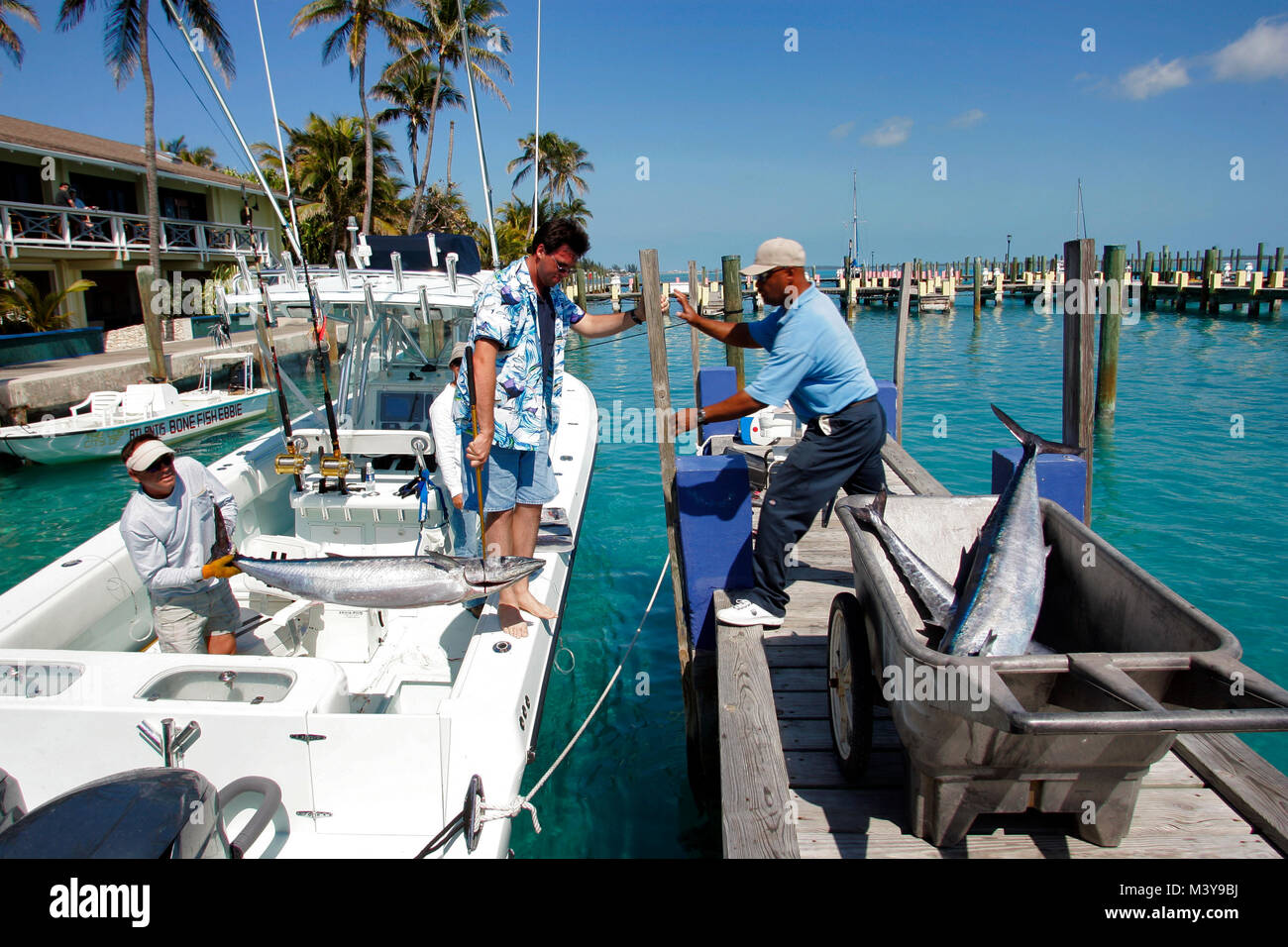 Bahamas, North Bimini, Alice Town's Marina, power boat, Back From ...