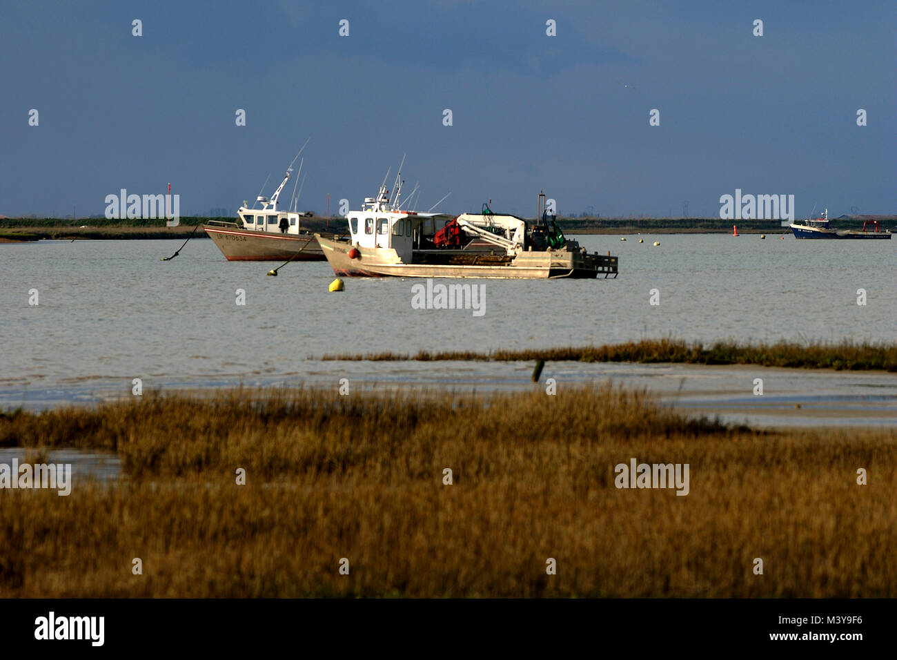 France, Charente Maritime, Charron, mussel farming boats in the canal ...