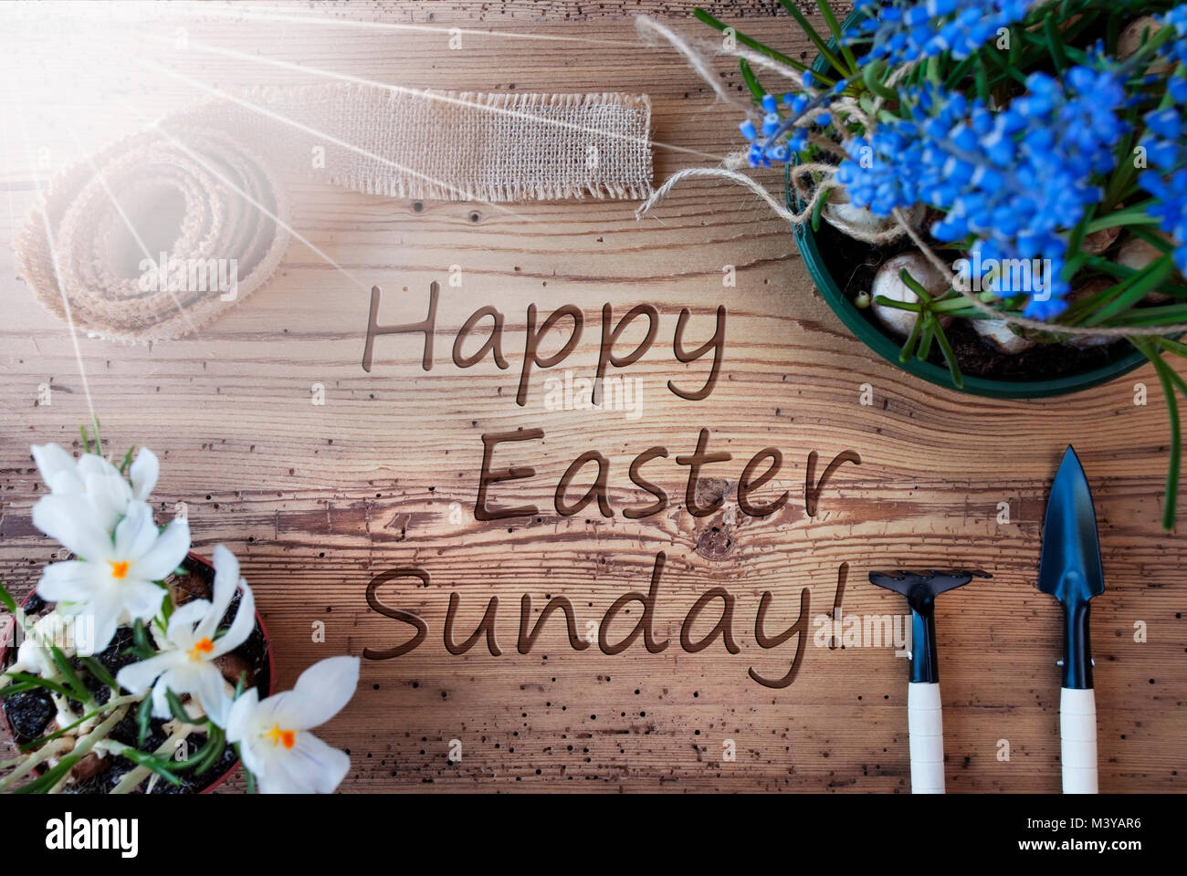 English Text Happy Easter Sunday. Sunny Spring Flowers Like Grape ...