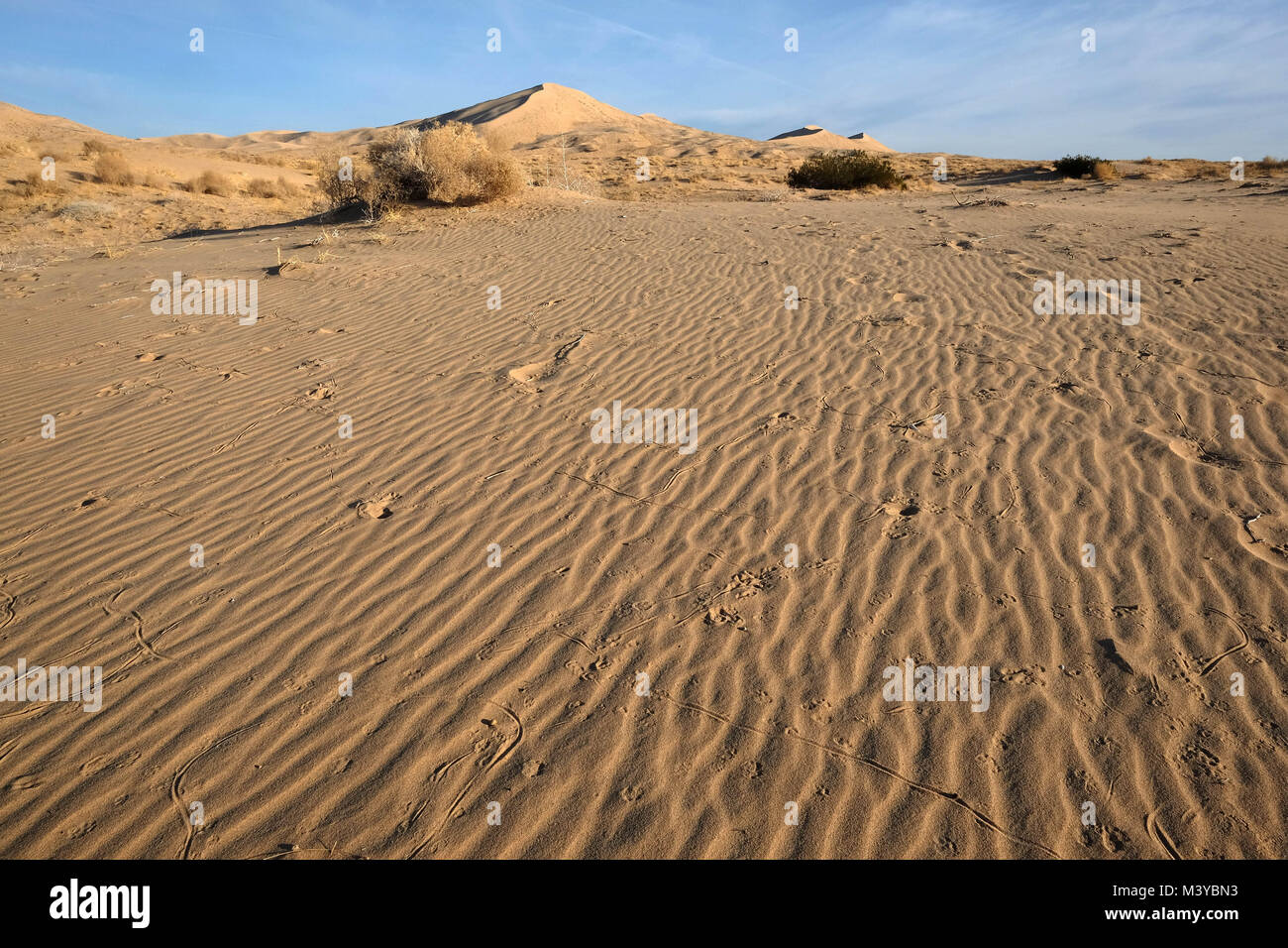 Death ramps hi-res stock photography and images - Alamy