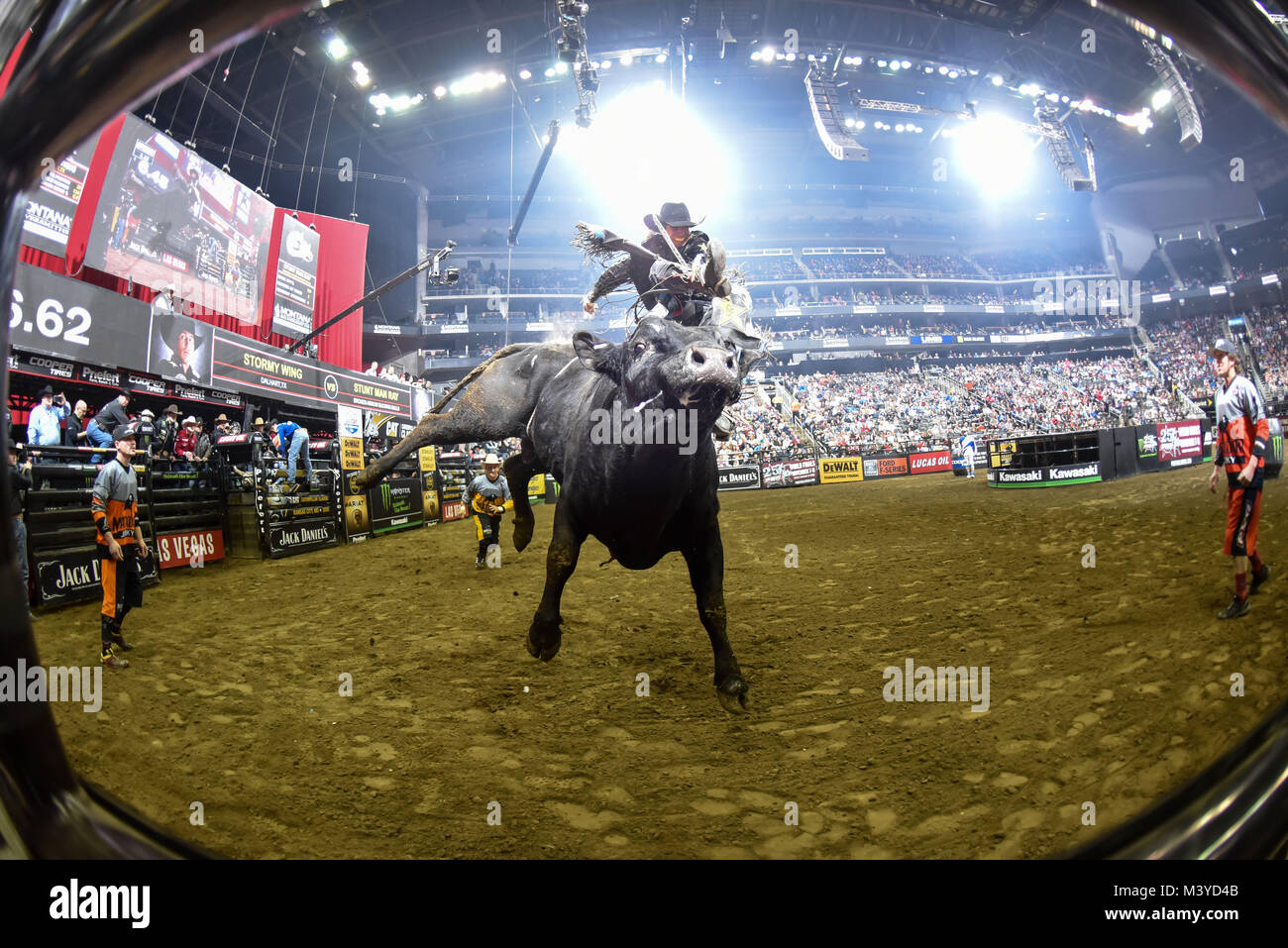 Kansas City, Missouri, USA. 11th Feb, 2018. STORMY WING rides a bull ...